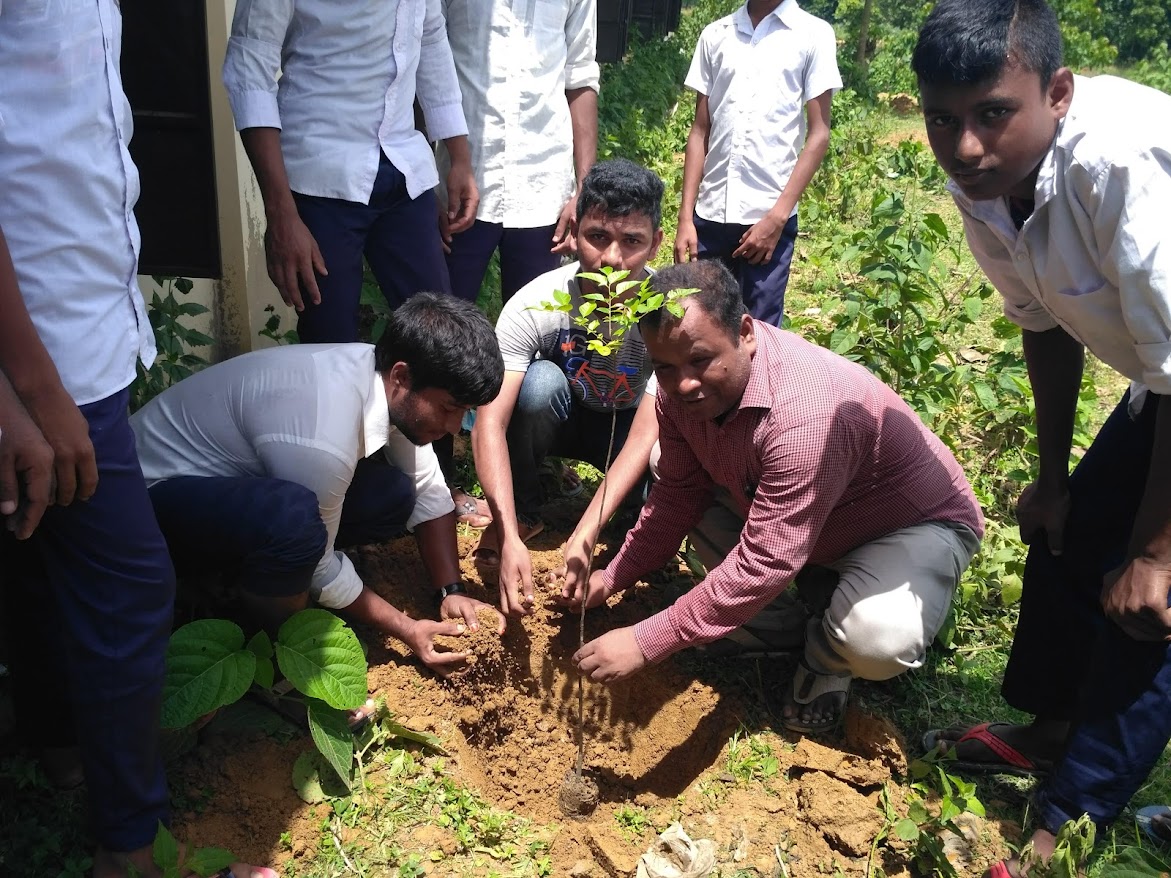 tree plantation home gallerys amtali high school tree plantation ...